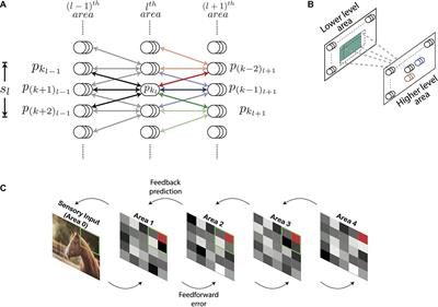 Frontiers | Deep Gated Hebbian Predictive Coding Accounts for Emergence of Complex Neural ...